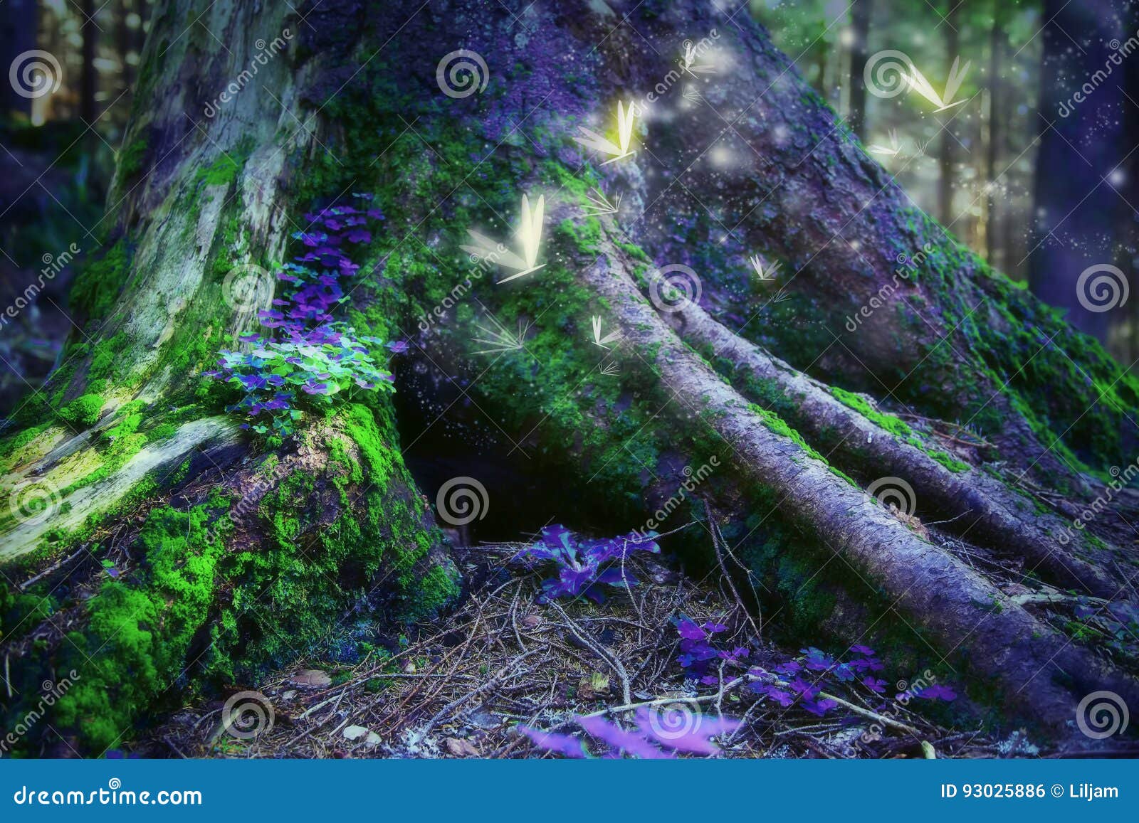 Enchanted Forest with Magic Fireflies Stock Photo - Image of adventure ...