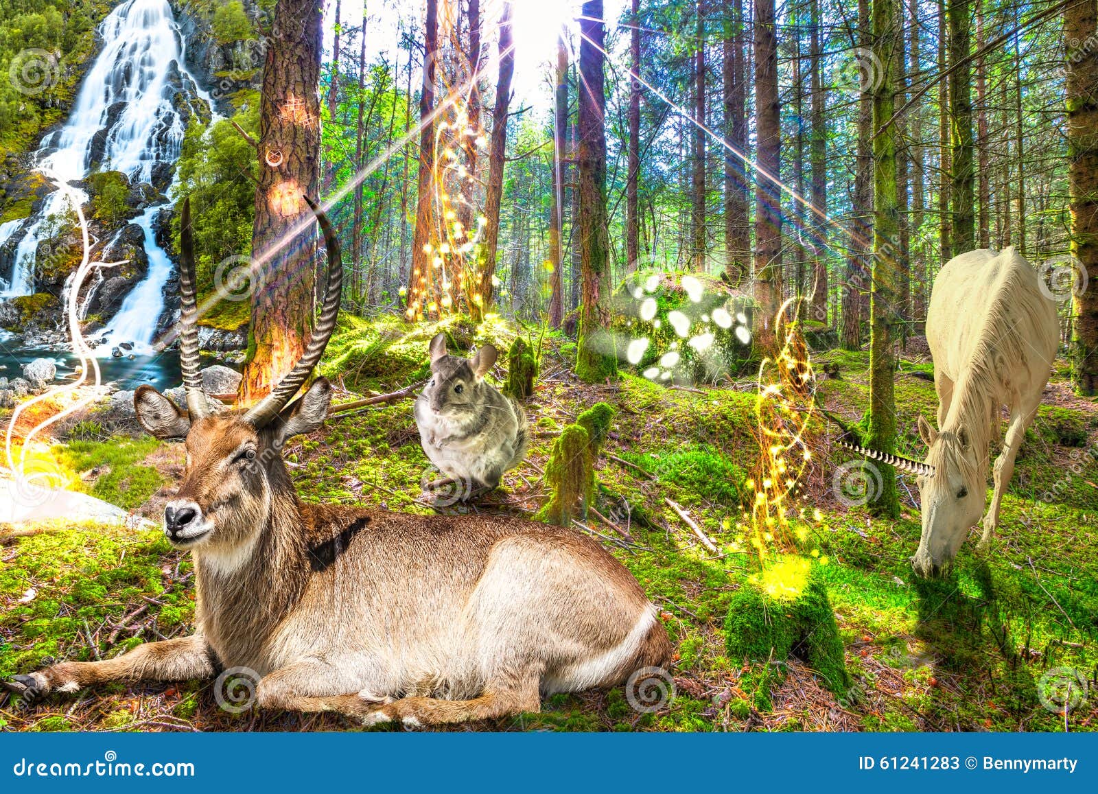 Enchanted forest stock image. Image of magic, trees, grass - 61241283