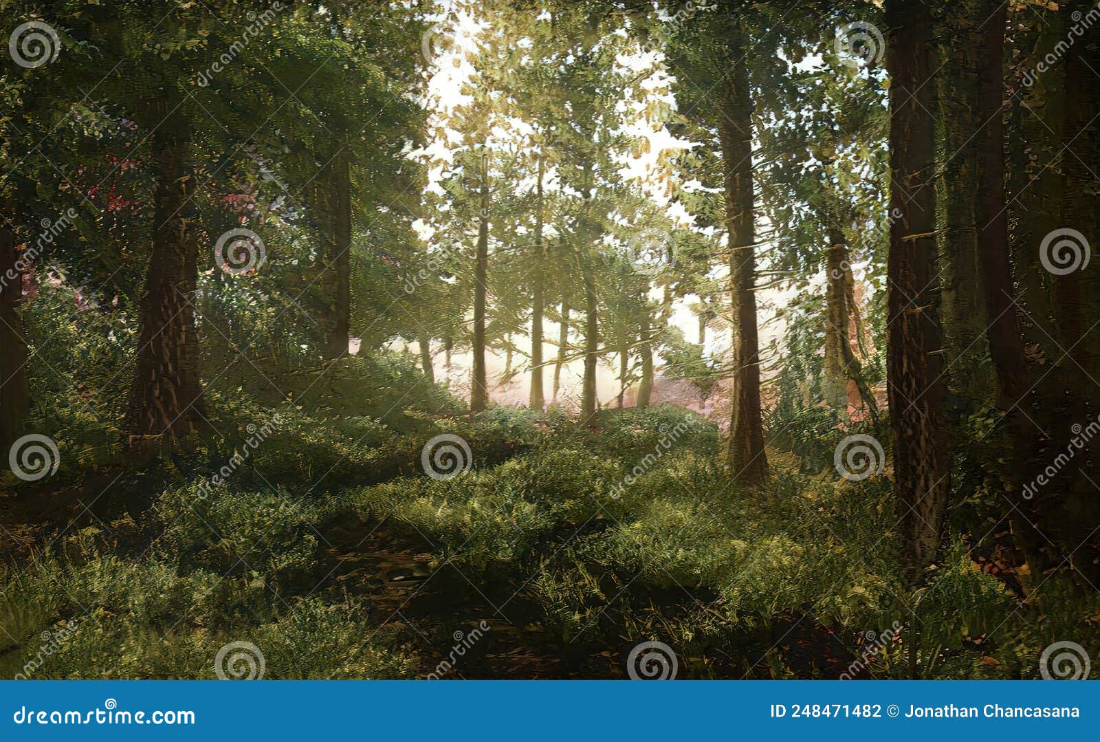 Enchanted Forest stock photo. Image of nature, contemporary - 248471482