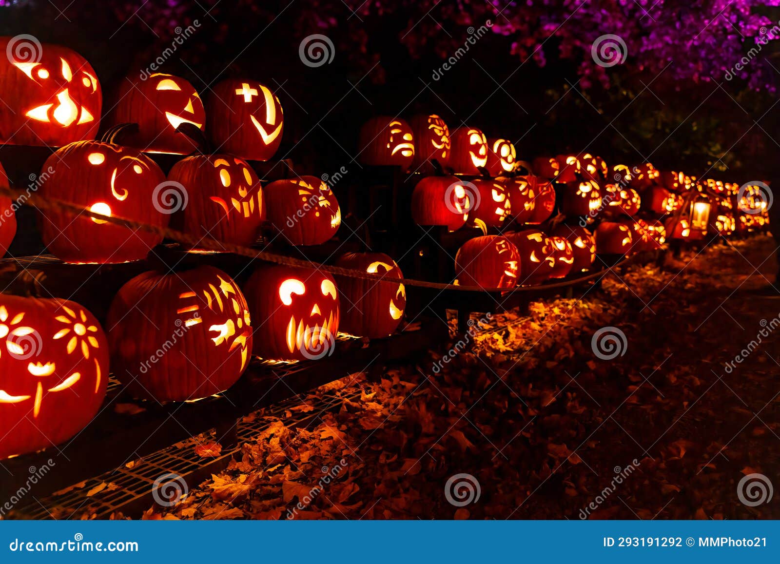 Enchanted Haunted Forest Path: Glowing Jack-o -Lantern Pumpkins at ...