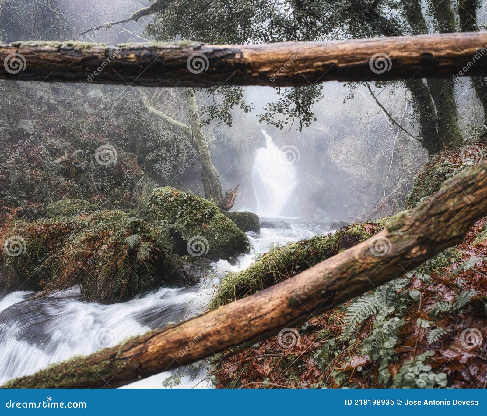Enchanted Forest with Waterfall Background in Long Exposure Stock Photo ...