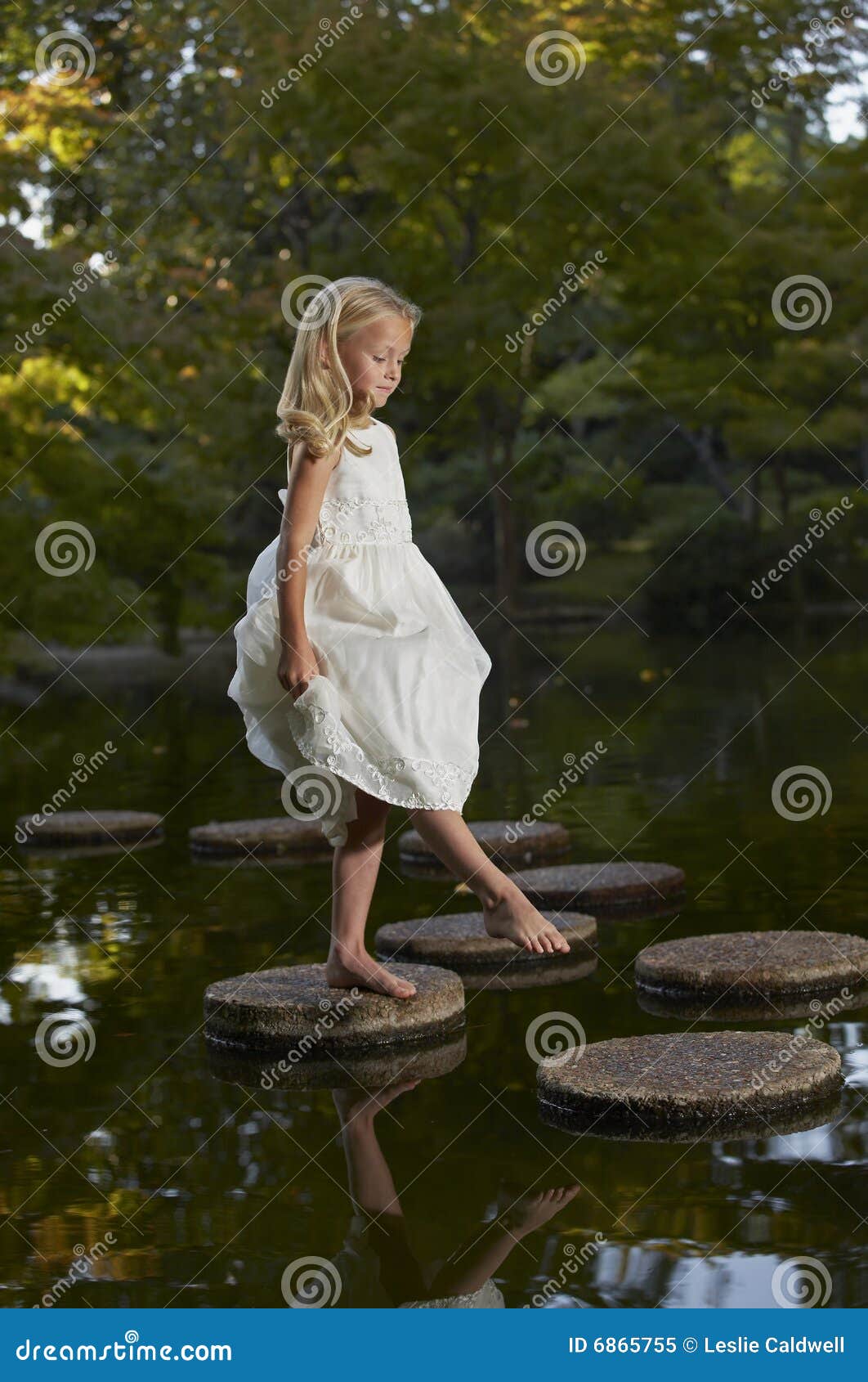Enchanted Garden Reflection Stock Image - Image of pond, reflection ...