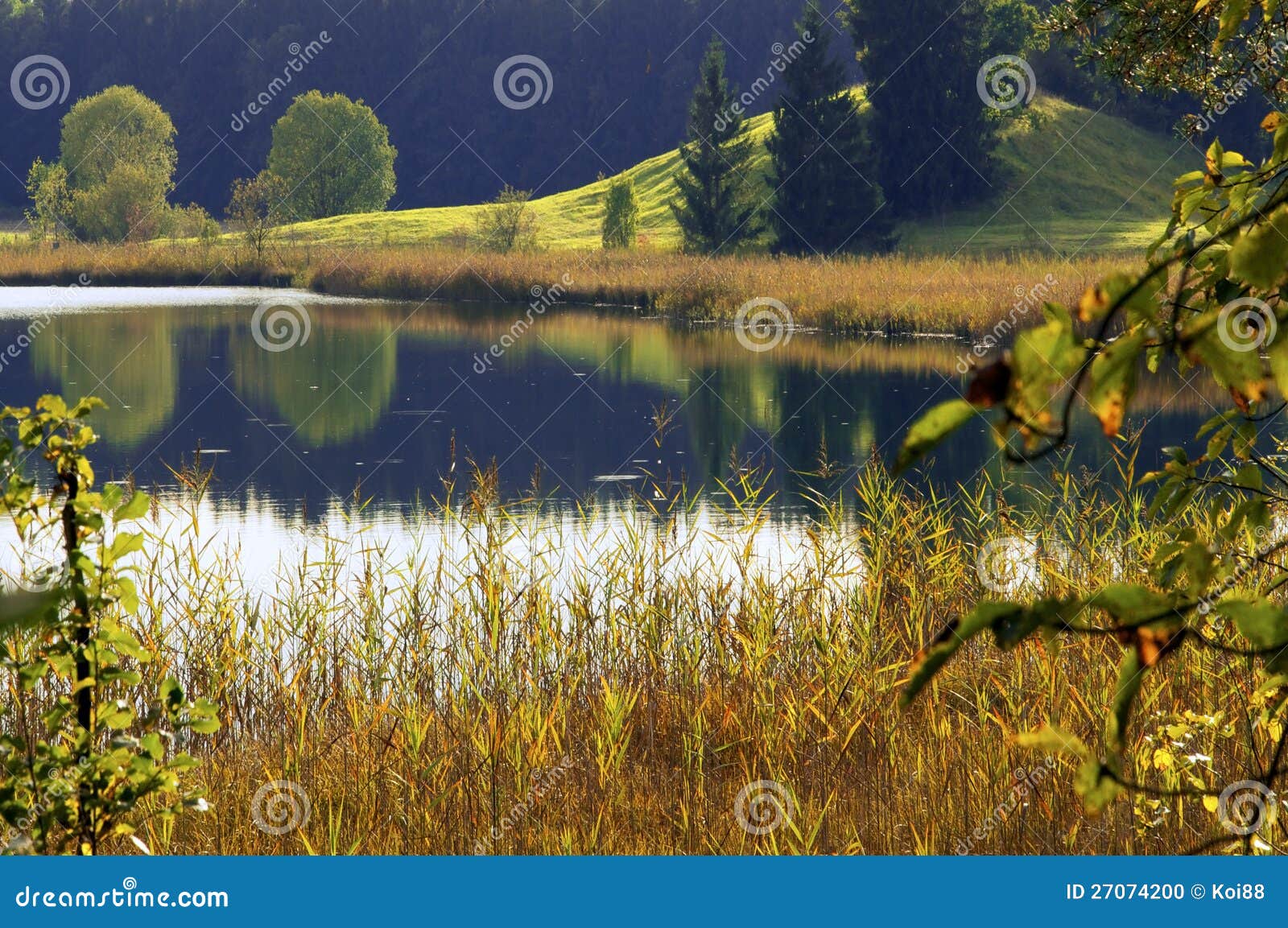 Enchanted Land stock photo. Image of lake, landscape - 27074200