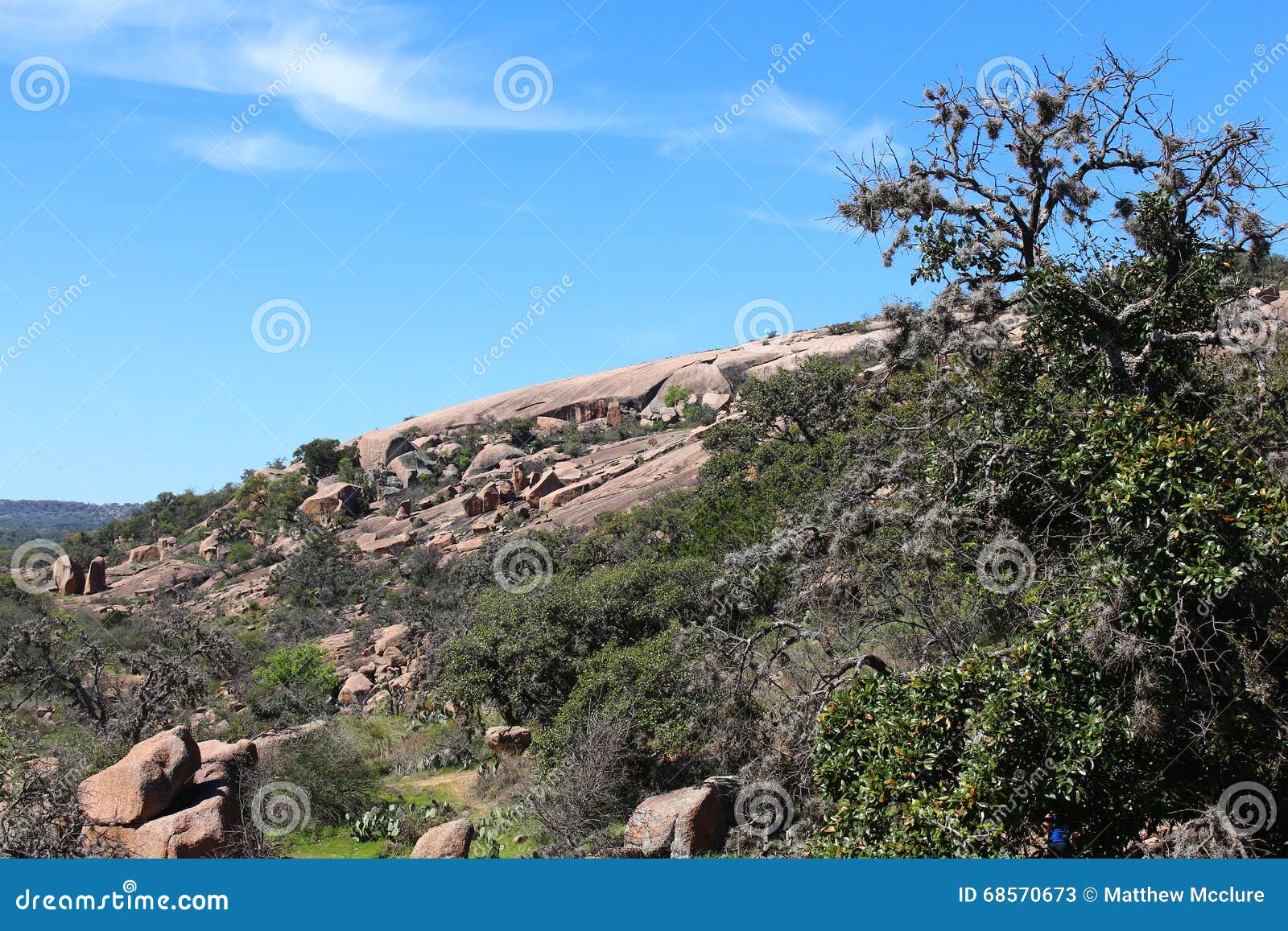 Enchanted Rock with Scrub Oak Stock Image - Image of state, texas: 68570673