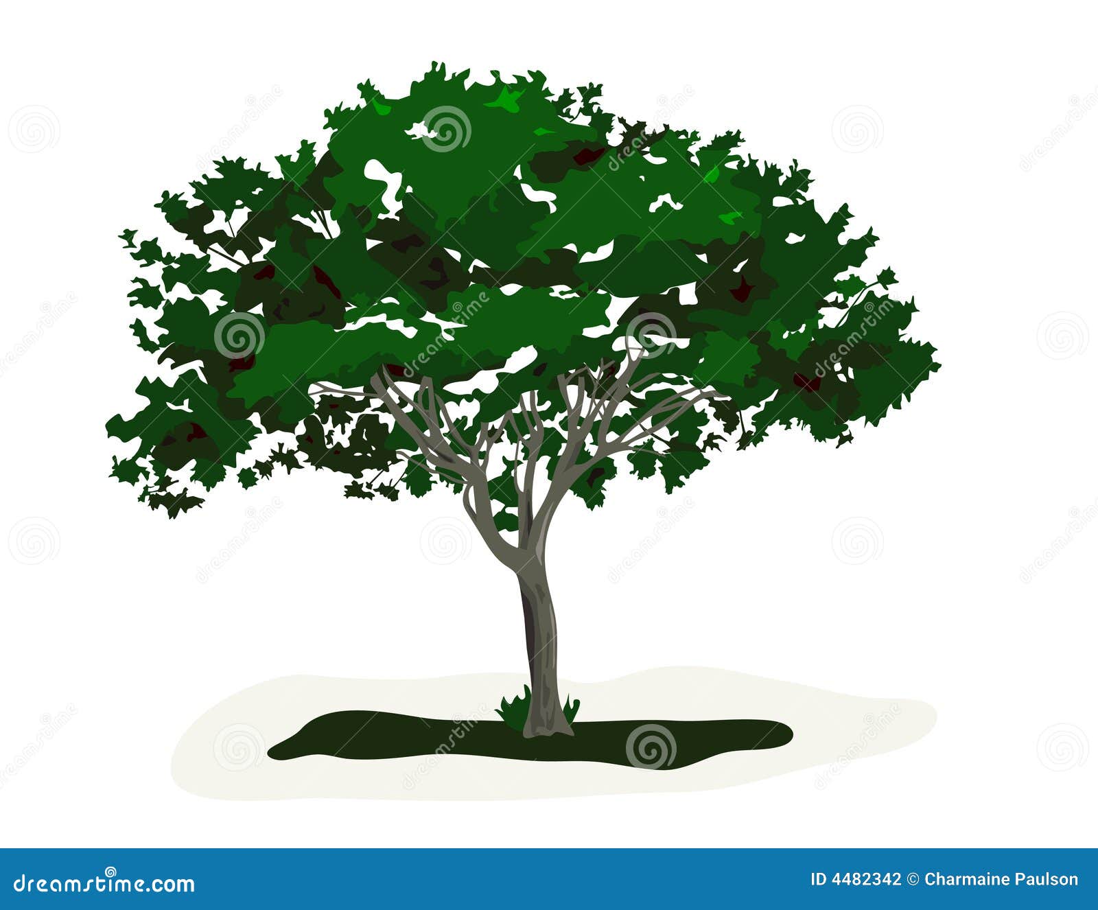 Enchanted Tree stock vector. Illustration of environment - 4482342