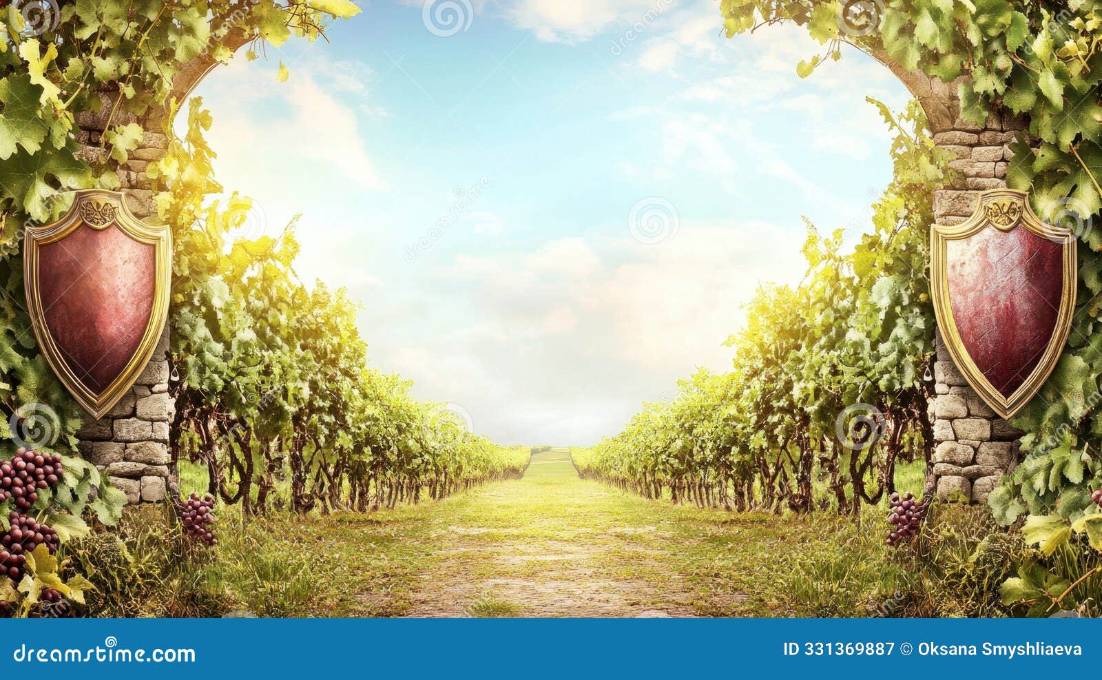 Enchanted Vineyard Pathway with Decorative Crest Shields Stock Image ...