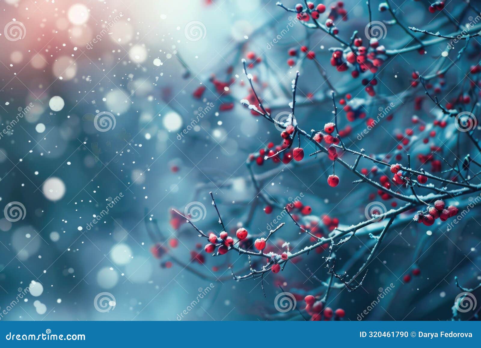 Enchanted Winter Forest Snowfall with Sunlight through Frosted Branches ...