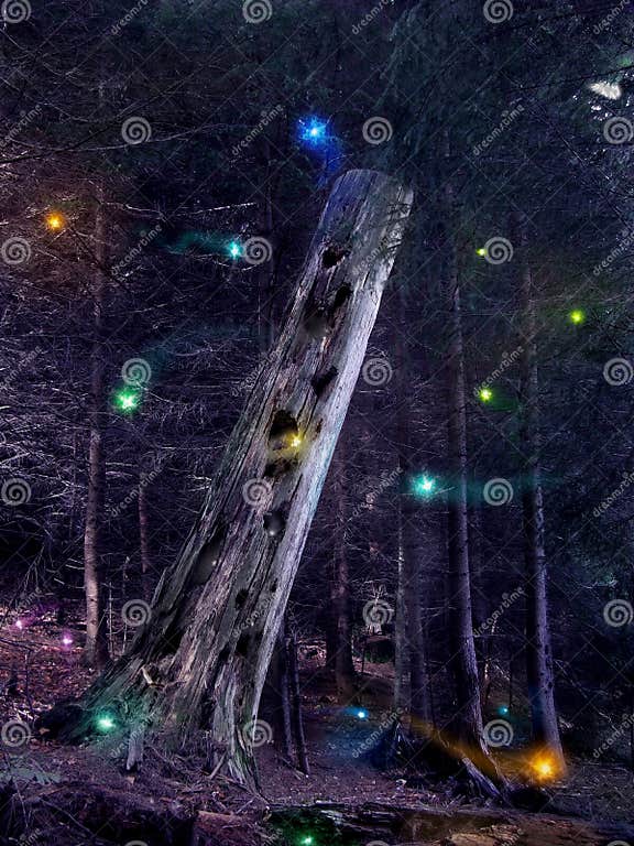 Enchanted woods stock illustration. Illustration of mystical - 3503417