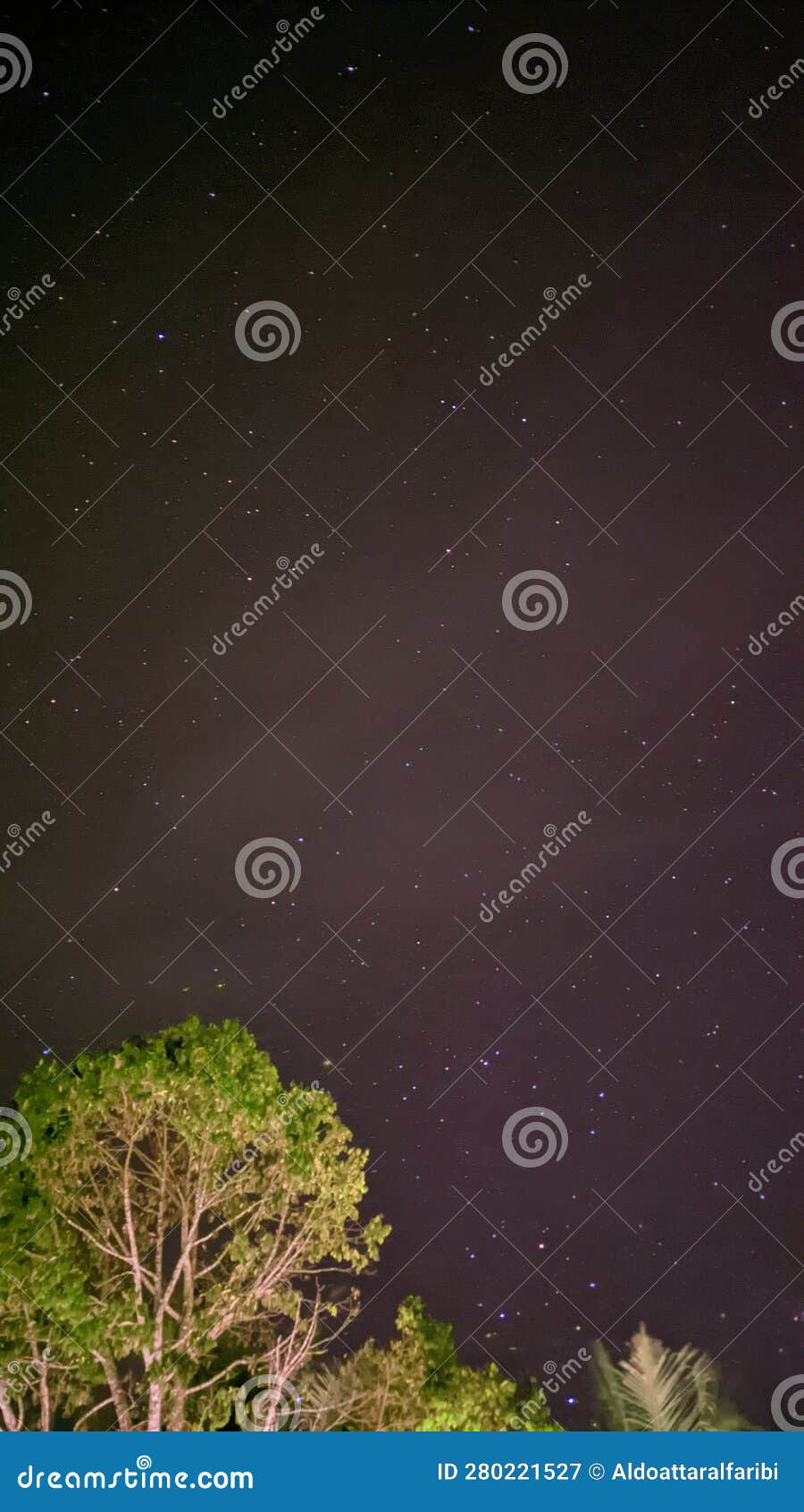 Enchanting Night Dancing Tree and Stars in the Darkness Stock Image ...