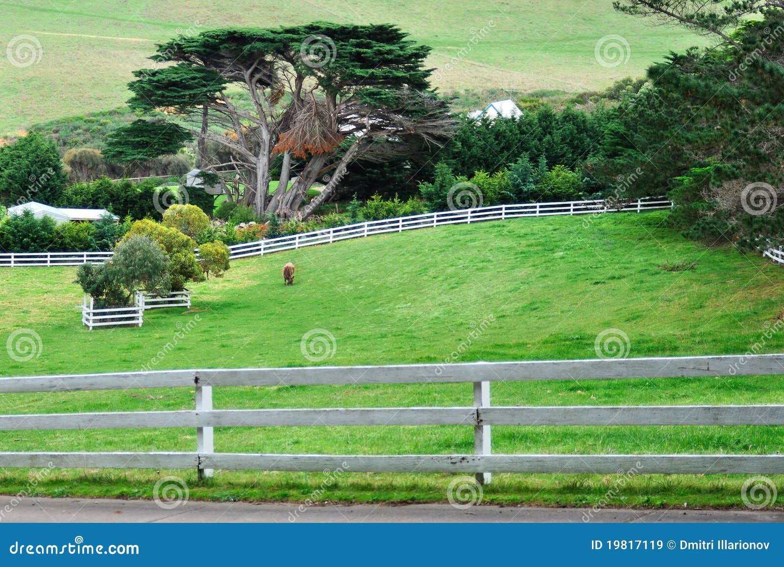 Enclosure field on hill stock image. Image of domestic - 19817119