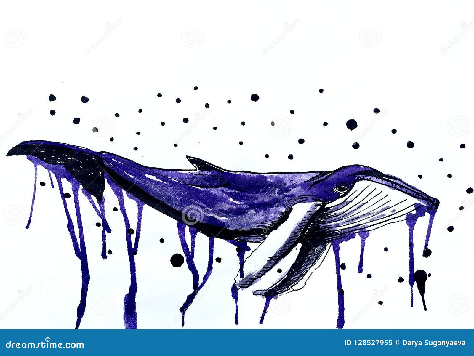Encre Violette D'illustration De Baleine Illustration Stock ...