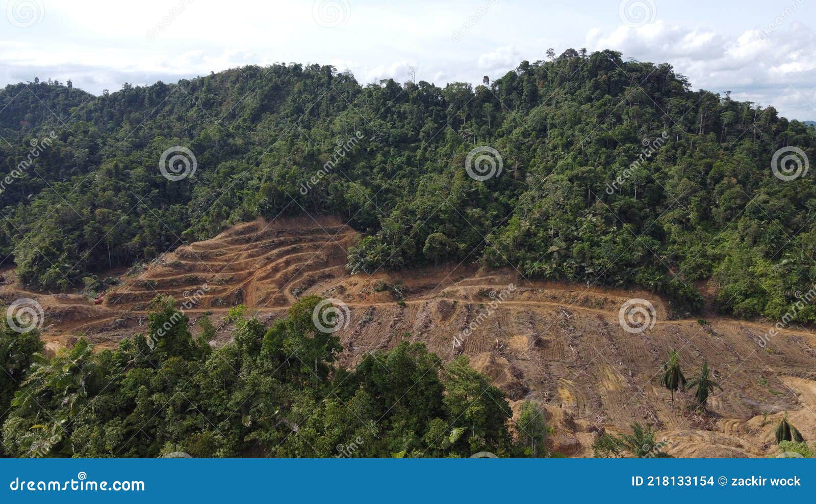 Encroachment of Forests in Aceh Indonesia Stock Photo - Image of ...