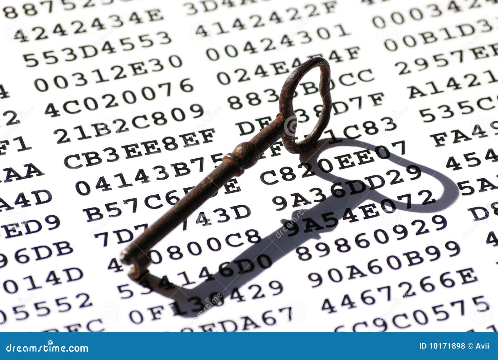 Encryption key concept stock photo. Image of access, decryption - 10171898