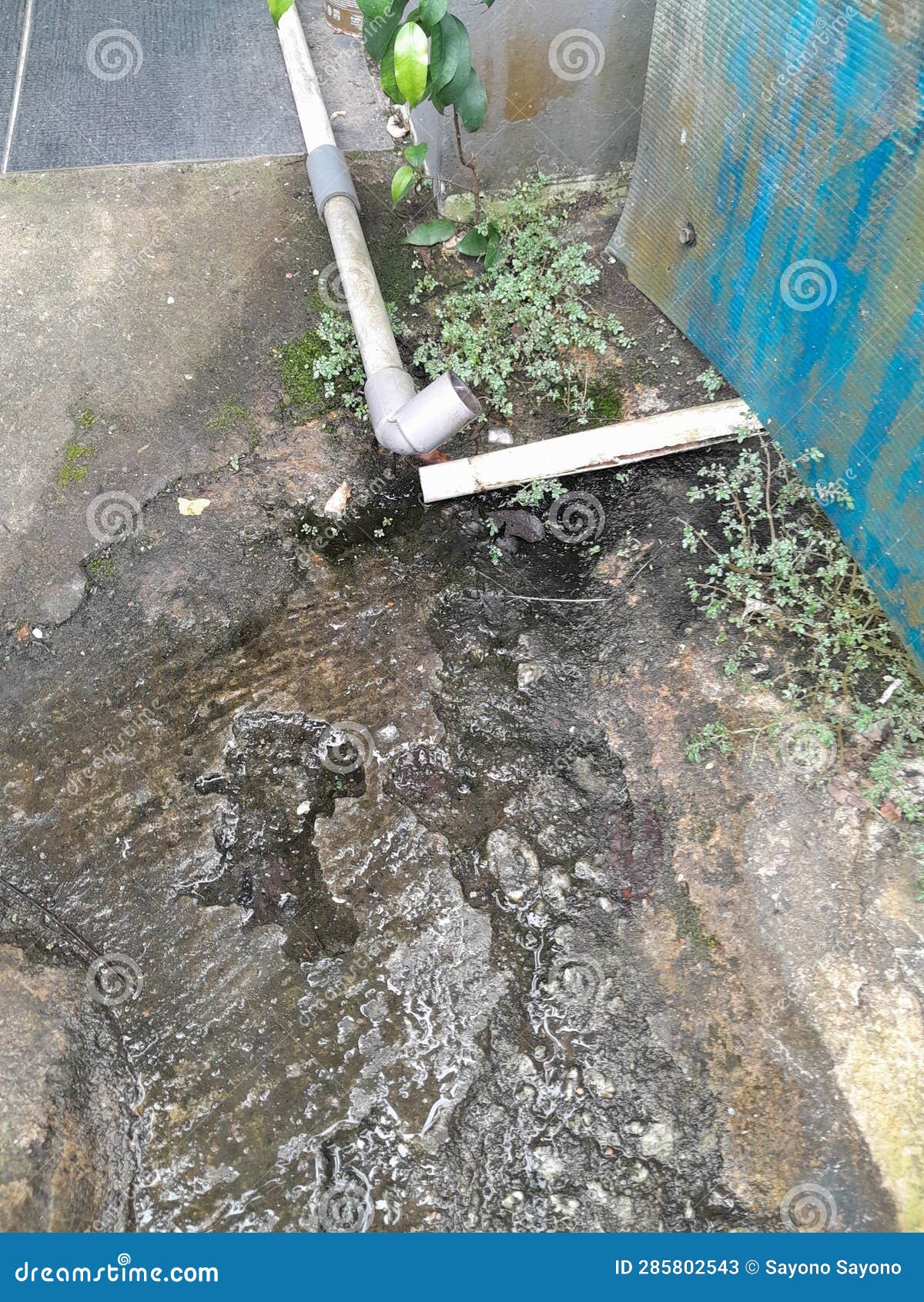 The End of the AC Sewer Pipe is Damp and Grows Moss. Stock Image ...