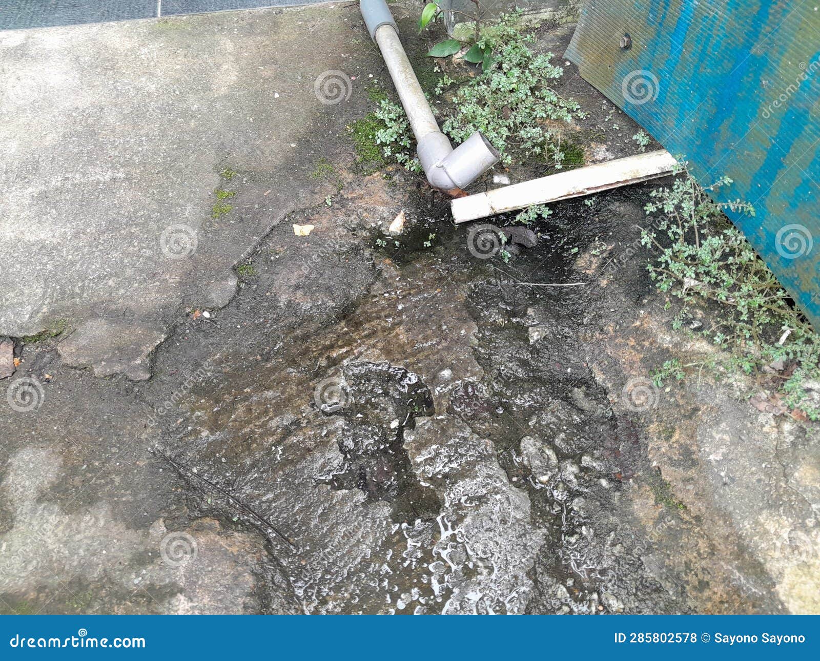 The End of the AC Sewer Pipe is Damp and Grows Moss. Stock Photo ...