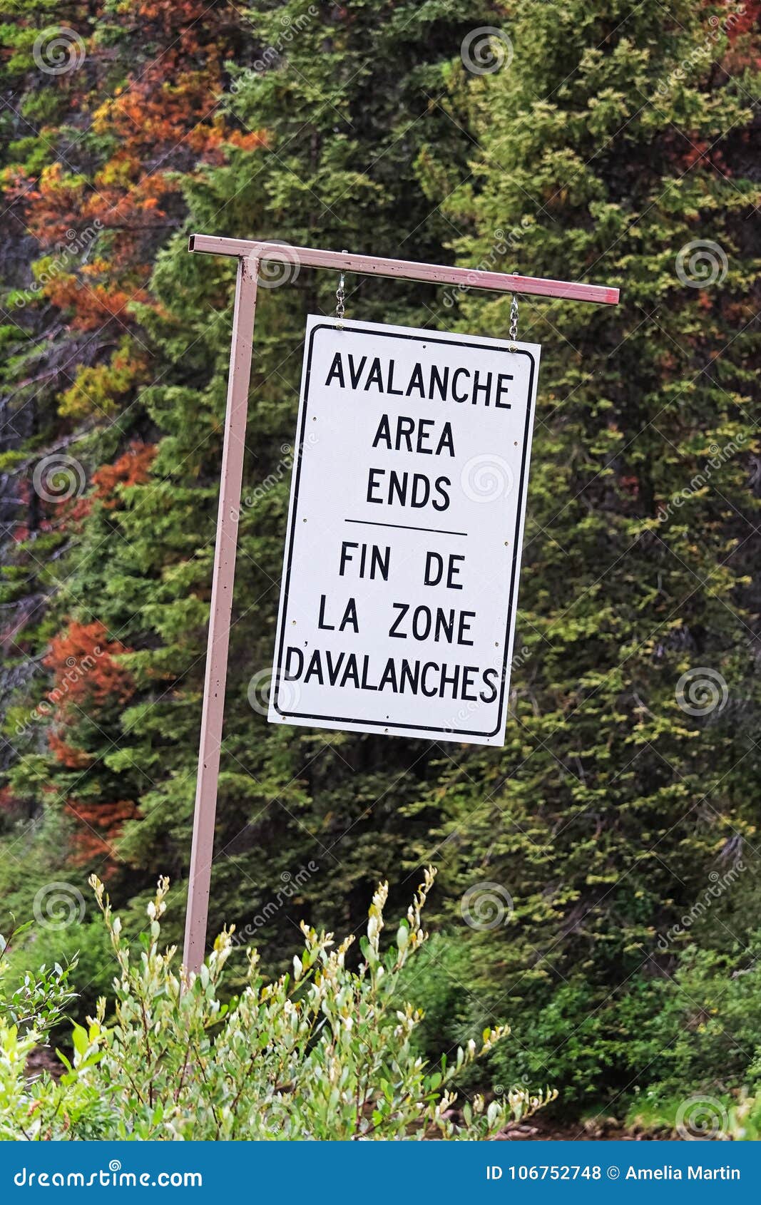 Avalanche Area Sign Royalty-Free Stock Image | CartoonDealer.com #29802382