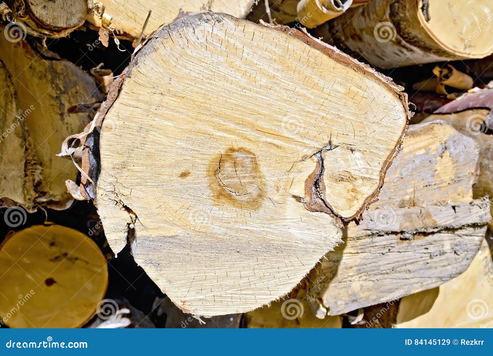 End of birch logs stock image. Image of industry, nature - 84145129
