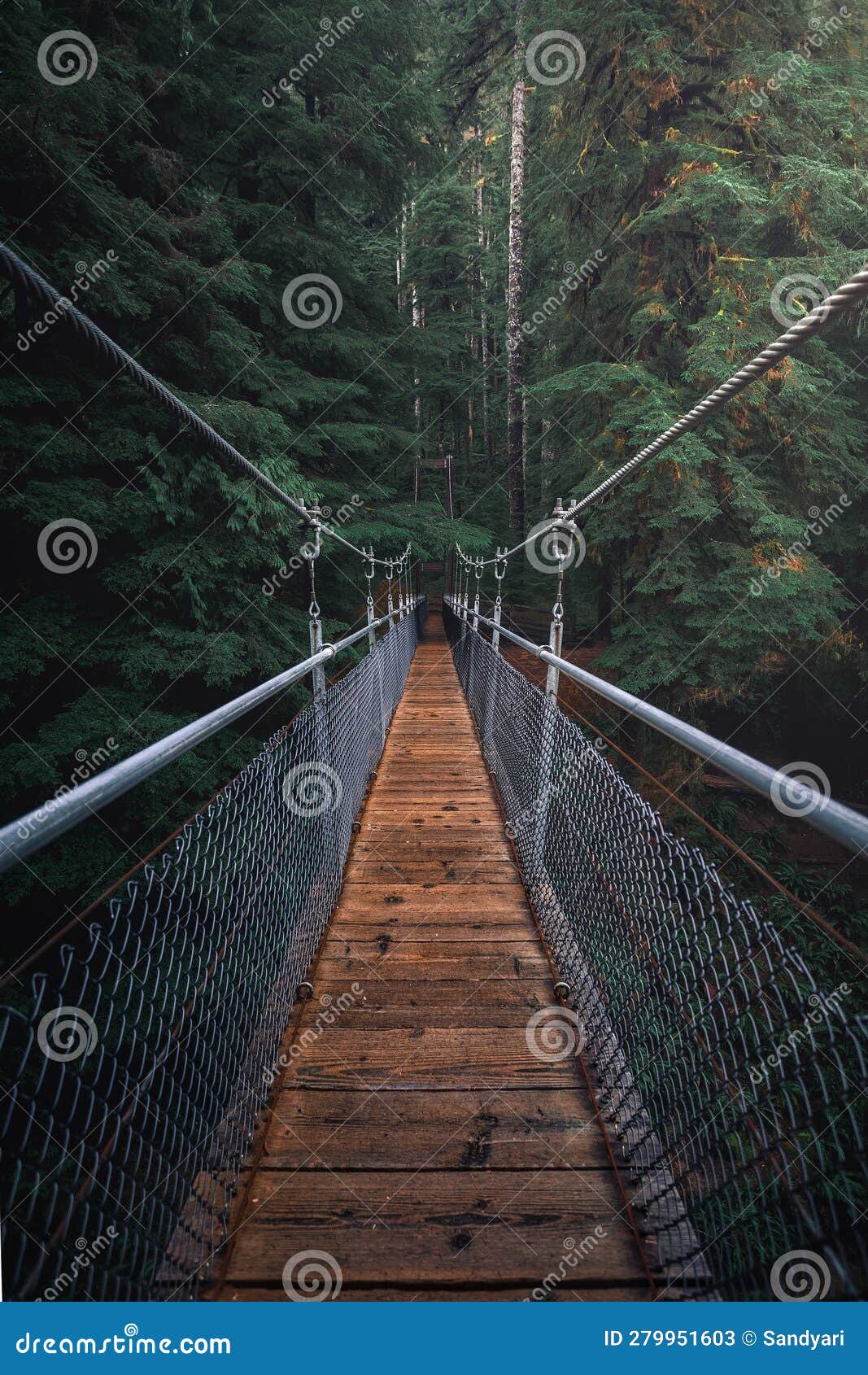 The End of the Bridge on the Edge of the Cliff Stock Image - Image of ...