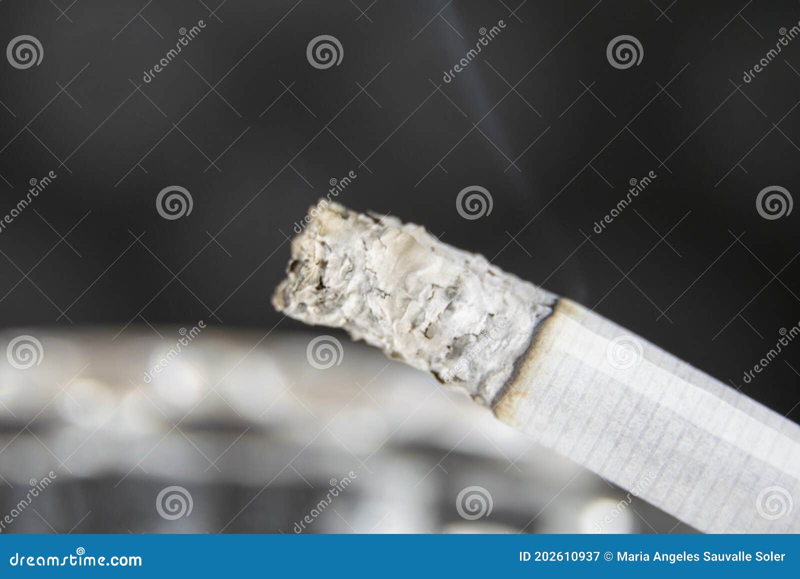 Ash from a cigarette. stock image. Image of harmful - 202610937