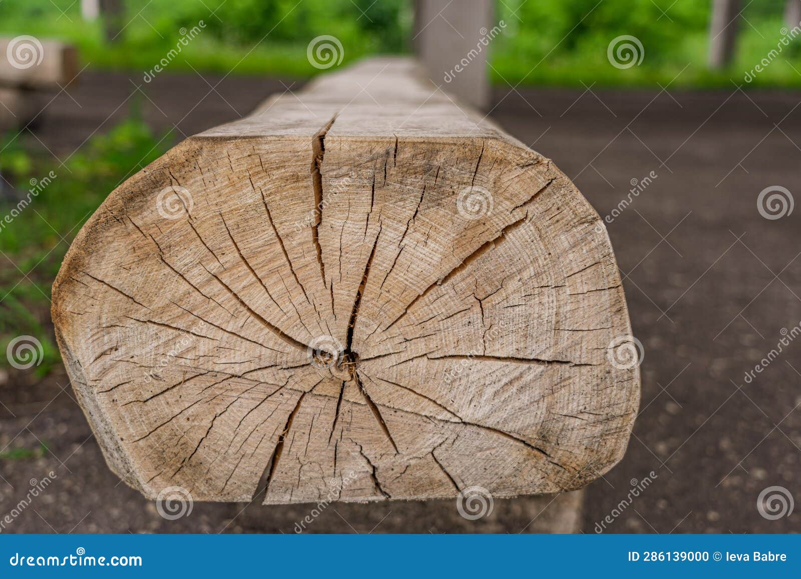 The End of the Log is Cracked Stock Photo - Image of material, lines ...