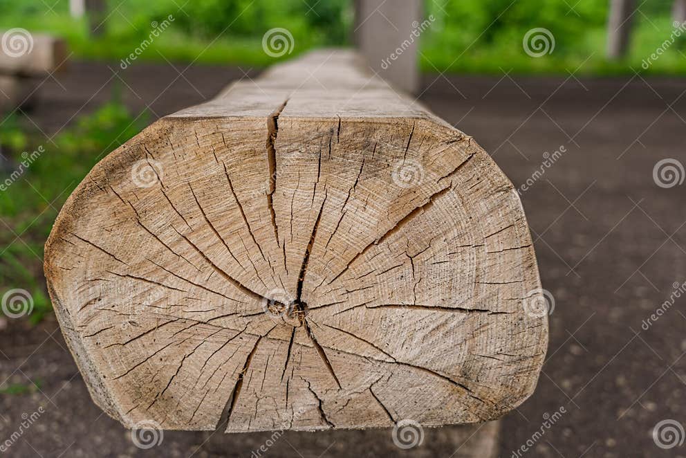 The End of the Log is Cracked Stock Photo - Image of material, lines ...