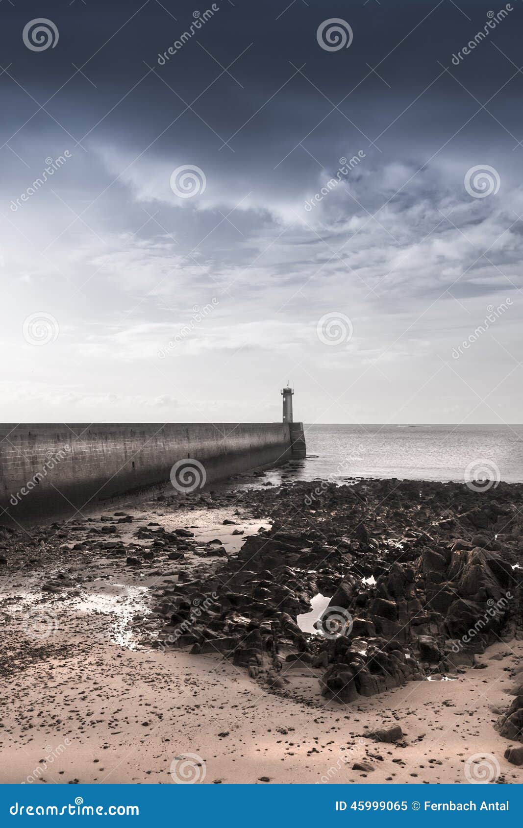 End of the mole stock image. Image of moving, protect - 45999065