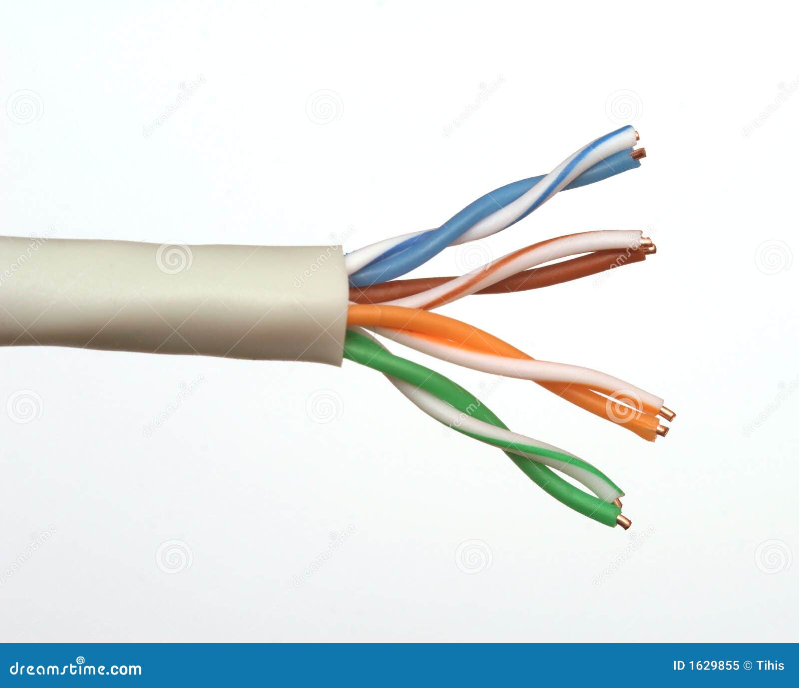 End of a Network Cable stock image. Image of computers - 1629855