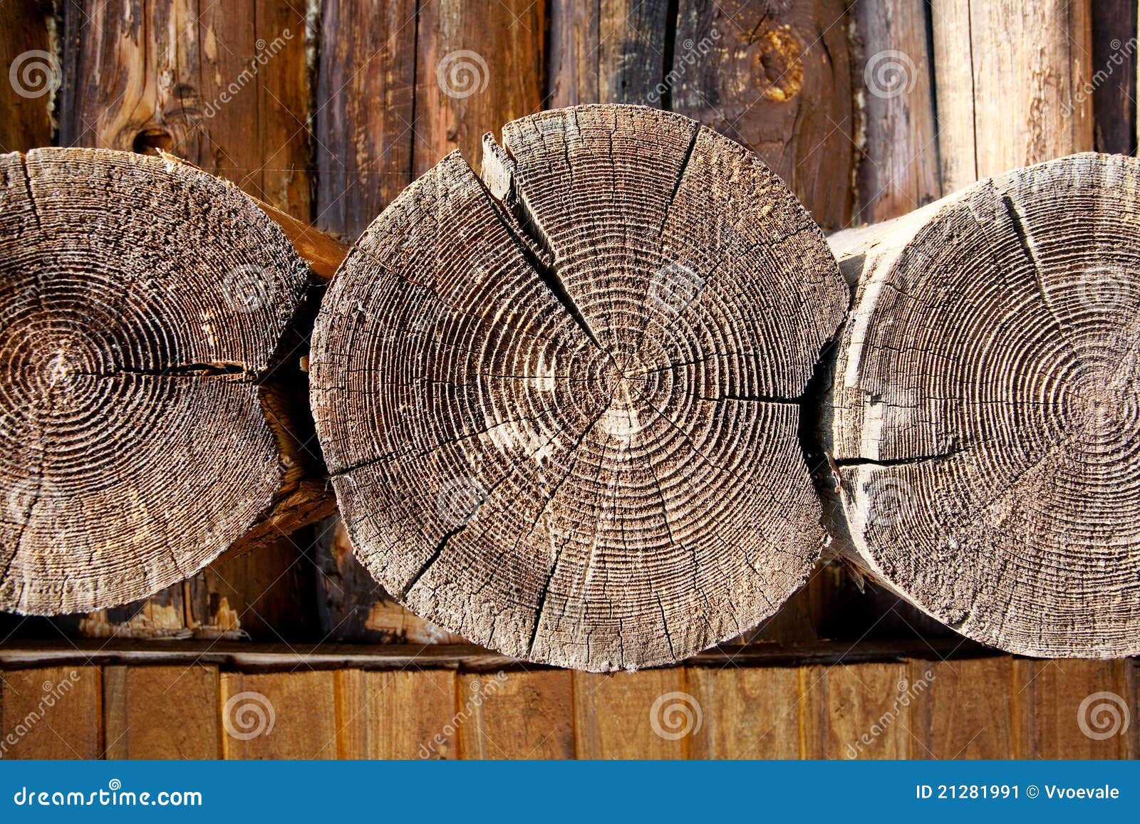End of old logs stock image. Image of tree, wooden, wood - 21281991