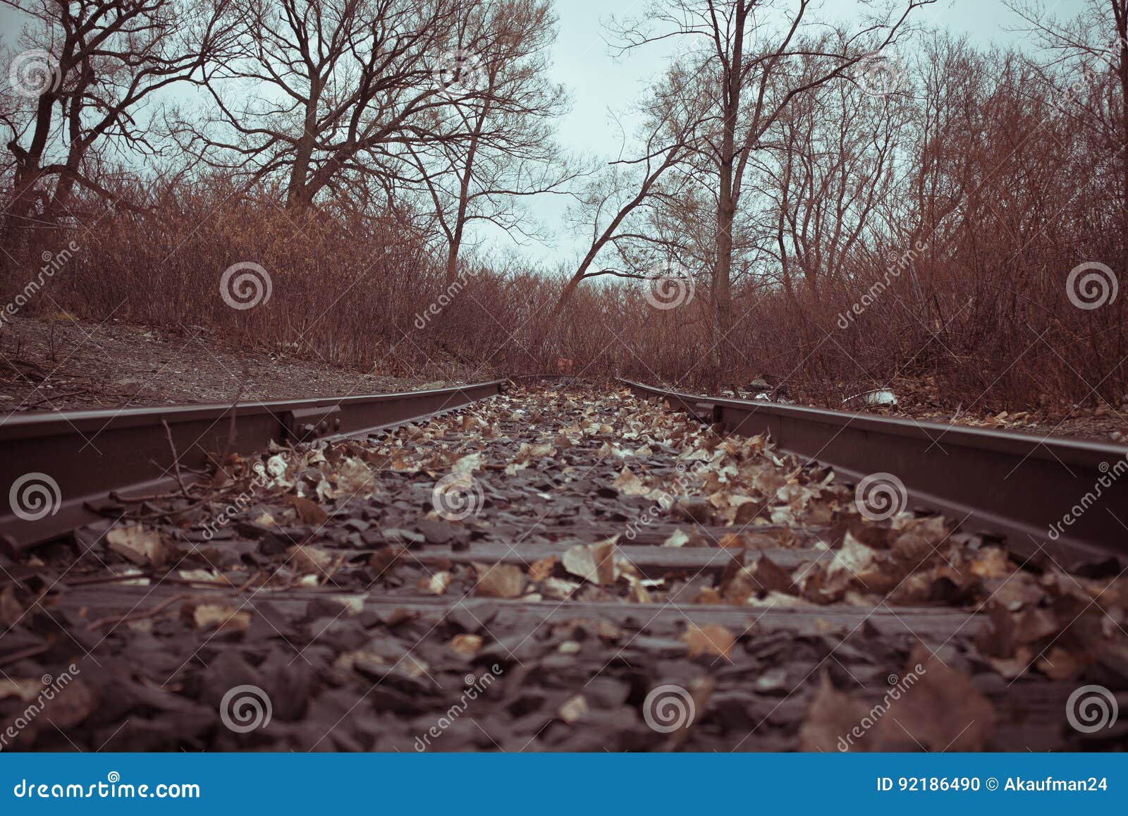 End of the Rail stock photo. Image of rail, railroad - 92186490