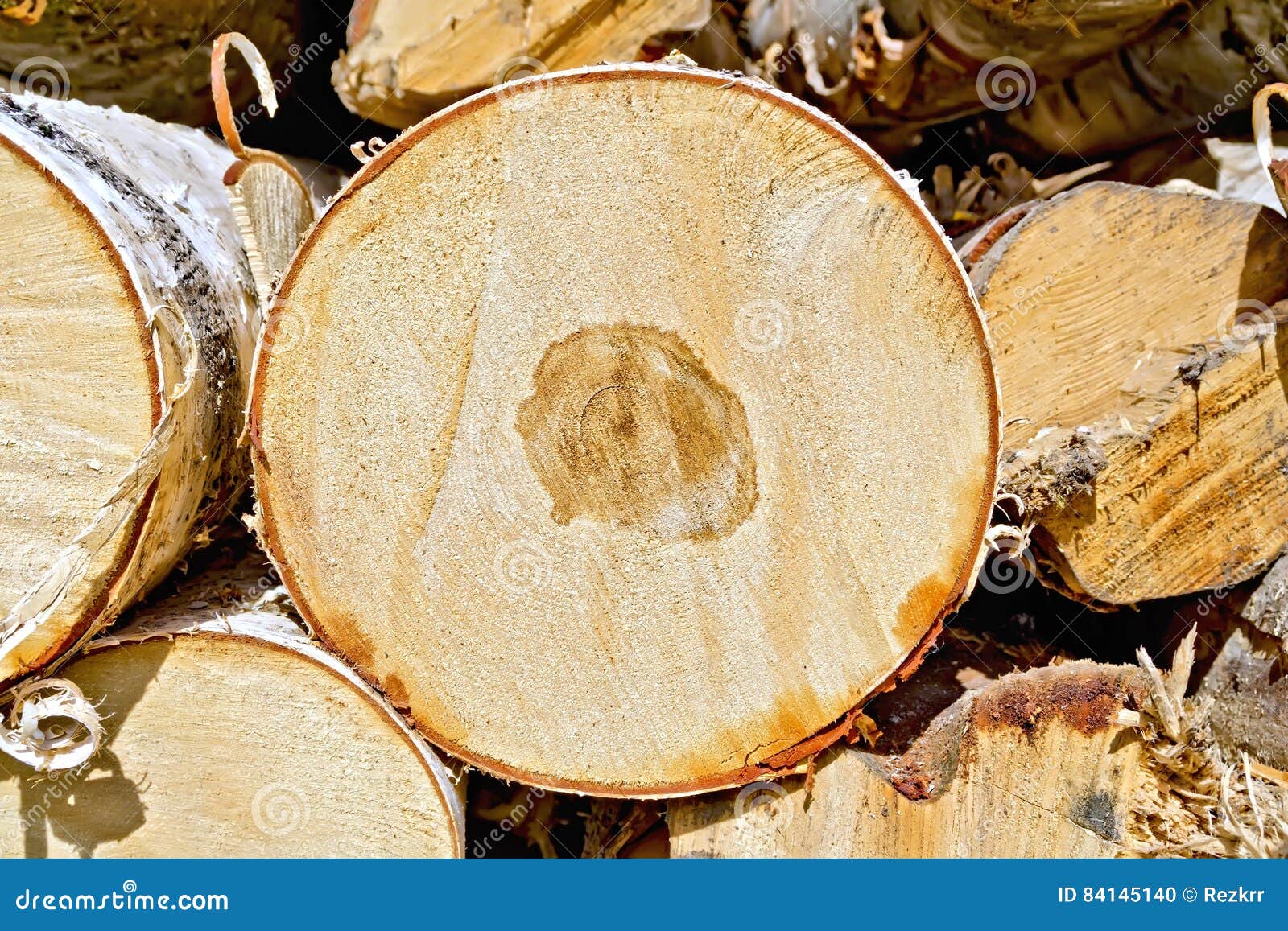 End of round birch logs stock photo. Image of hardwood - 84145140