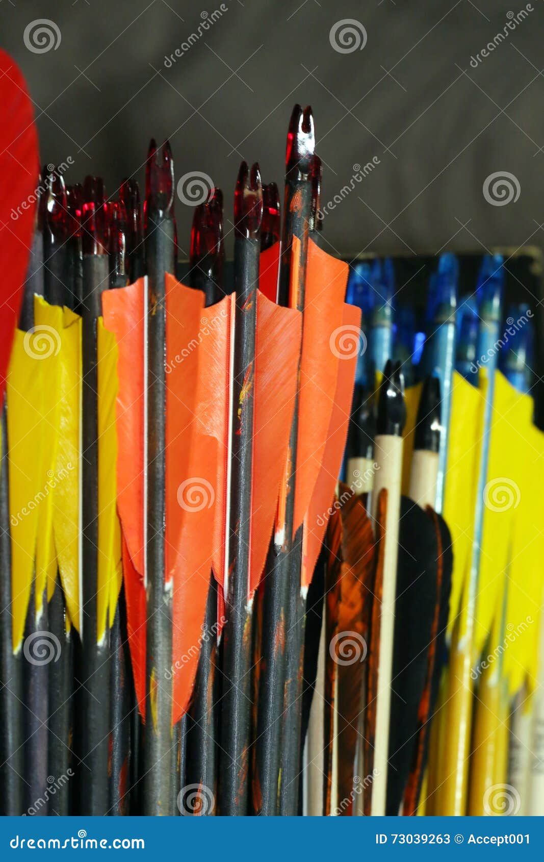 End of Sport Archery Arrows in Row Stock Image - Image of equipment ...