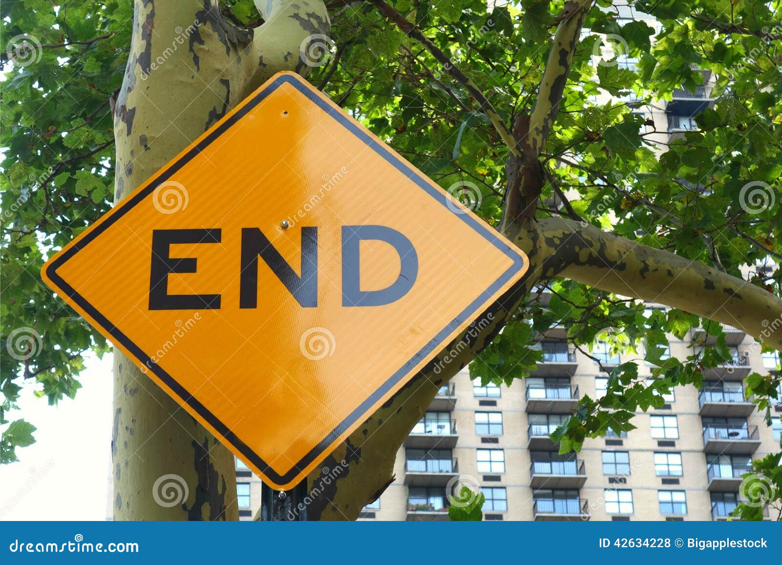 The End stock photo. Image of death, finish, signage - 42634228