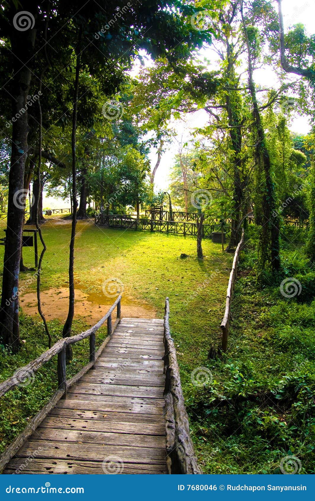 End of the trail stock photo. Image of track, clearing - 7680046