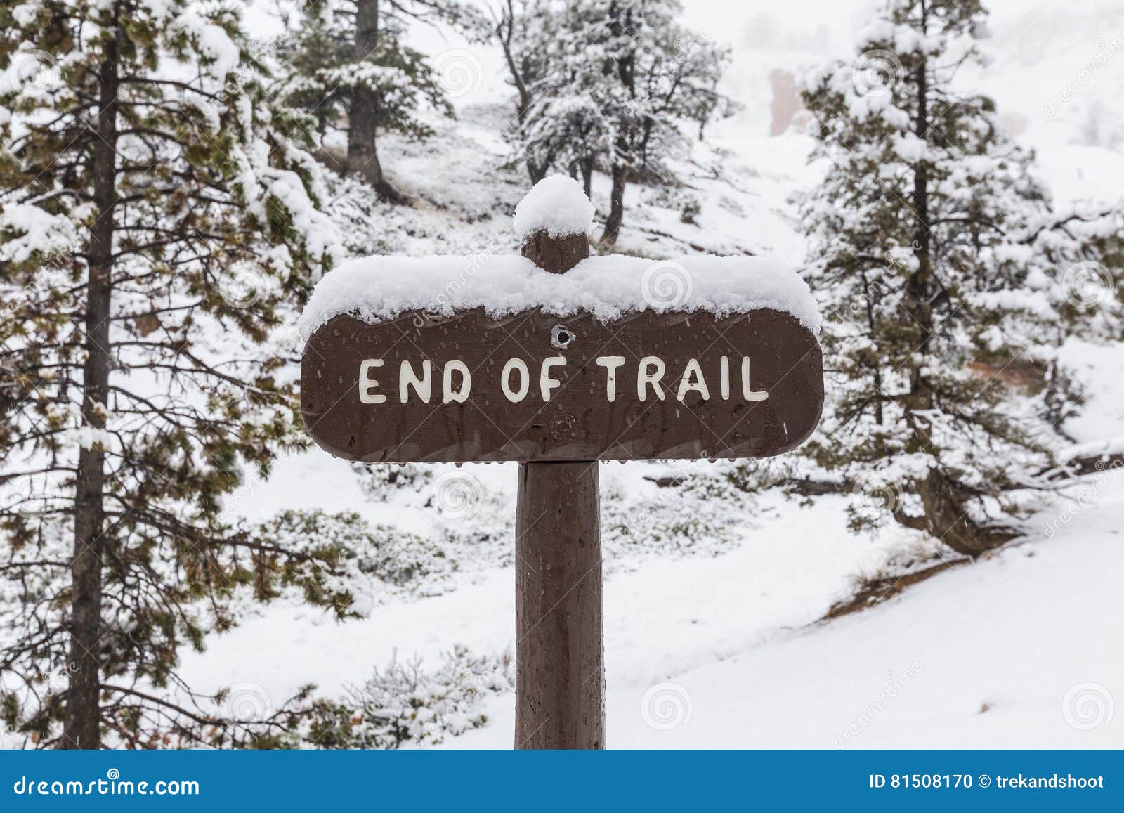 End of Trail Sign in Snowy Forest Stock Photo - Image of winter, nature ...