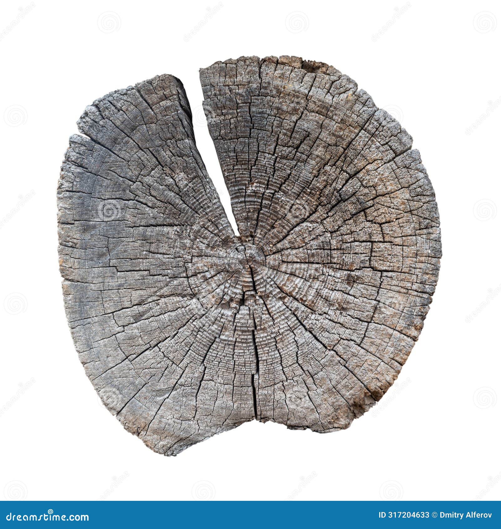 End of a Weathered Rough Old Log, Space for Text, Blurred Background ...