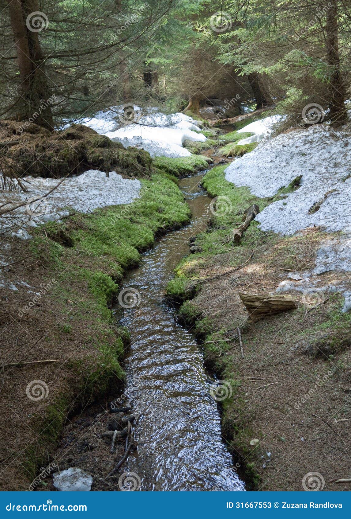 End of winter stock image. Image of outdoor, scenic, patch - 31667553