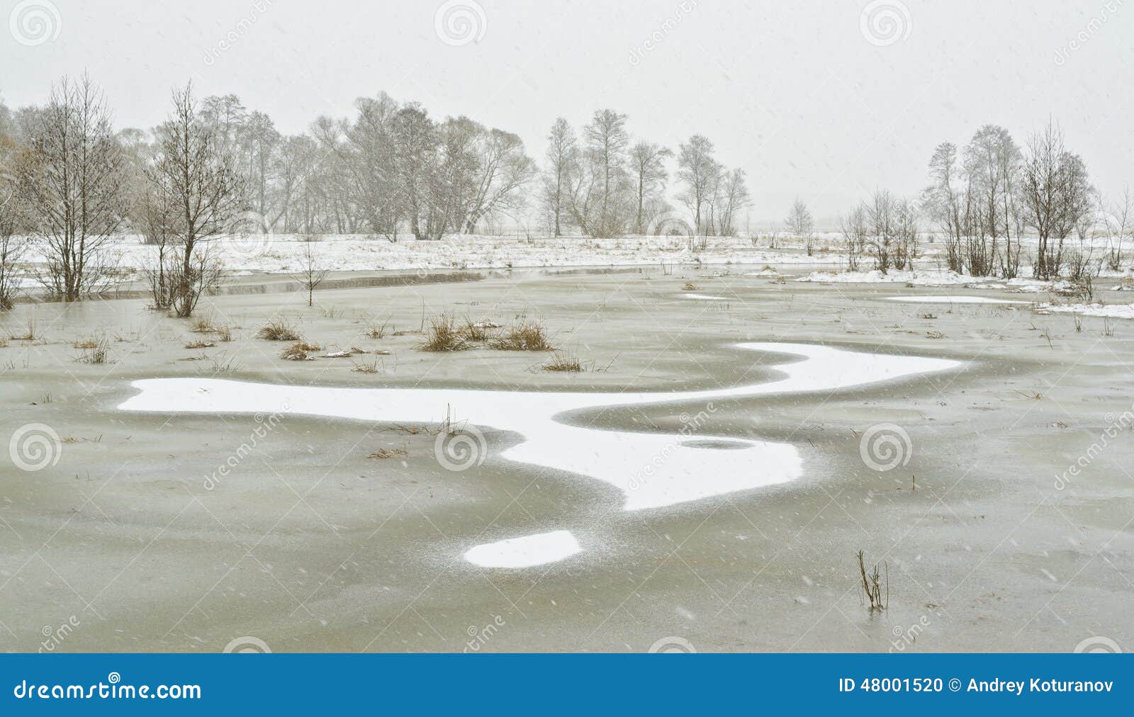 End of winter stock photo. Image of meadow, landscape - 48001520