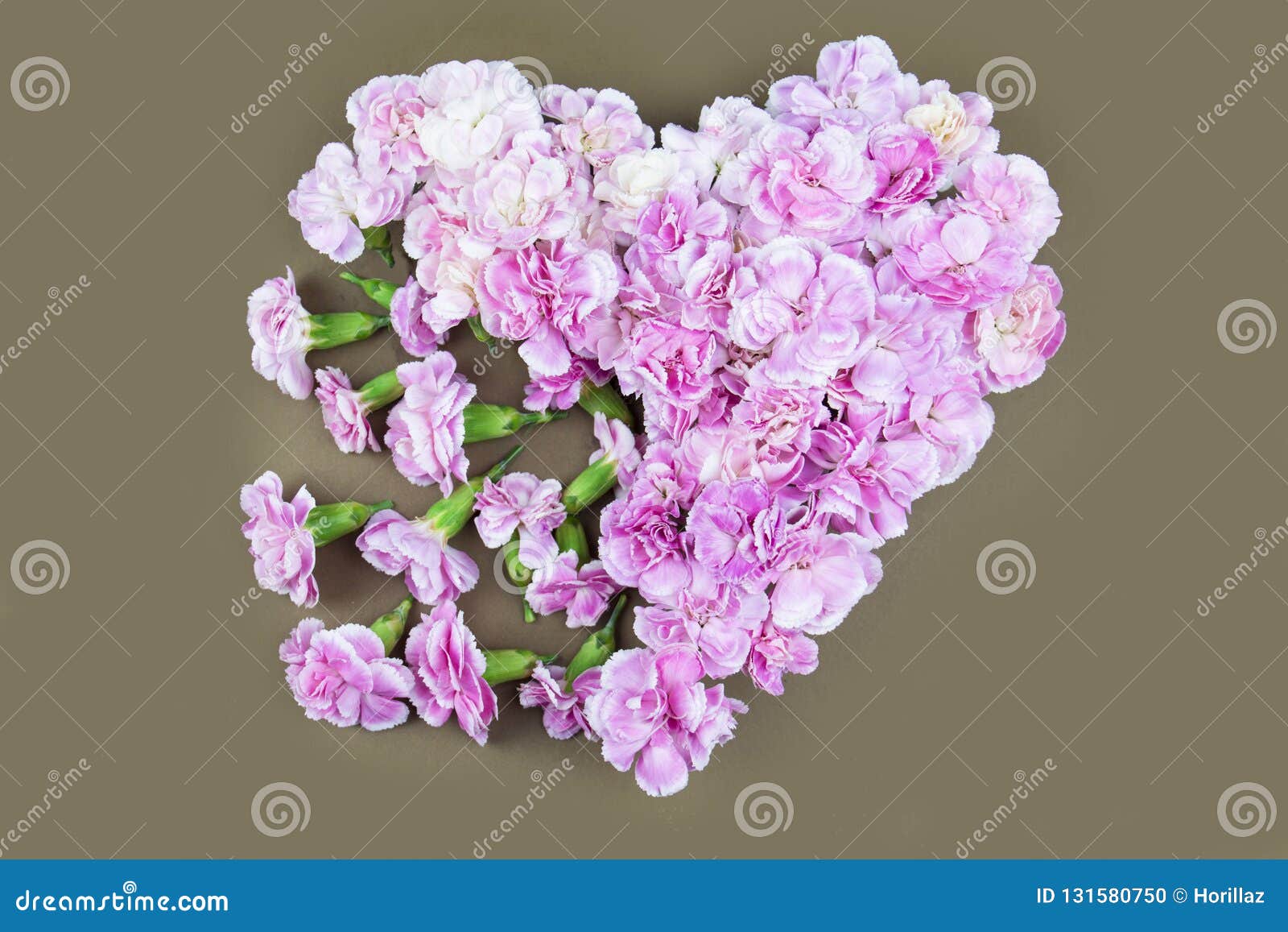 Endecha Del Plano De La Flor Foto de archivo - Imagen de verano, fondo ...