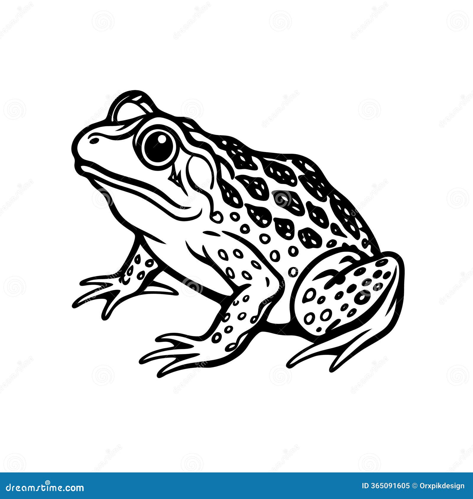 Endemic Toad Coloring Page For Kids Cartoon Vector | CartoonDealer.com ...