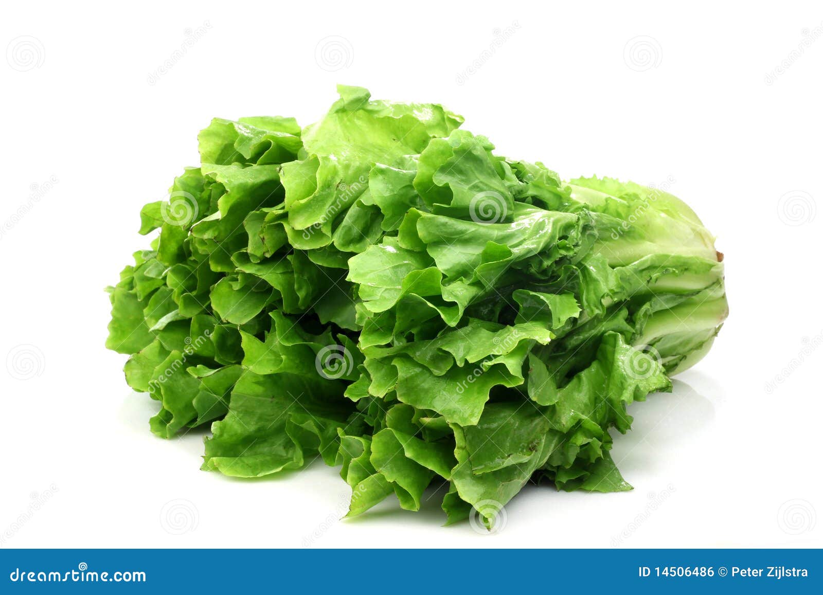 Endibia foto de archivo. Imagen de nutritivo, dieta, vitaminas - 14506486