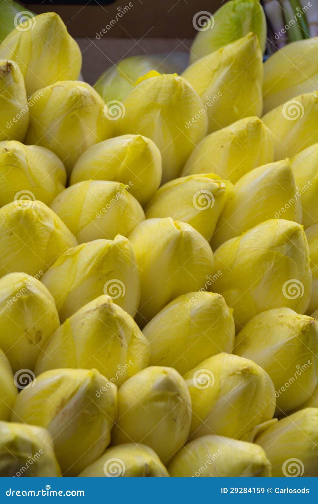 Endibia imagen de archivo. Imagen de mercado, verde, coma - 29284159