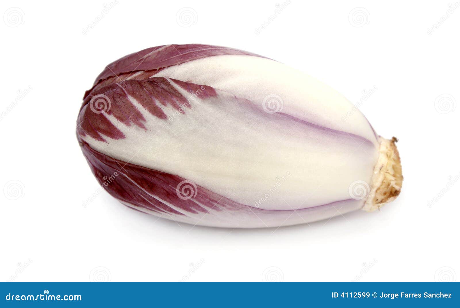 Endibia imagen de archivo. Imagen de vegetariano, blanco - 4112599