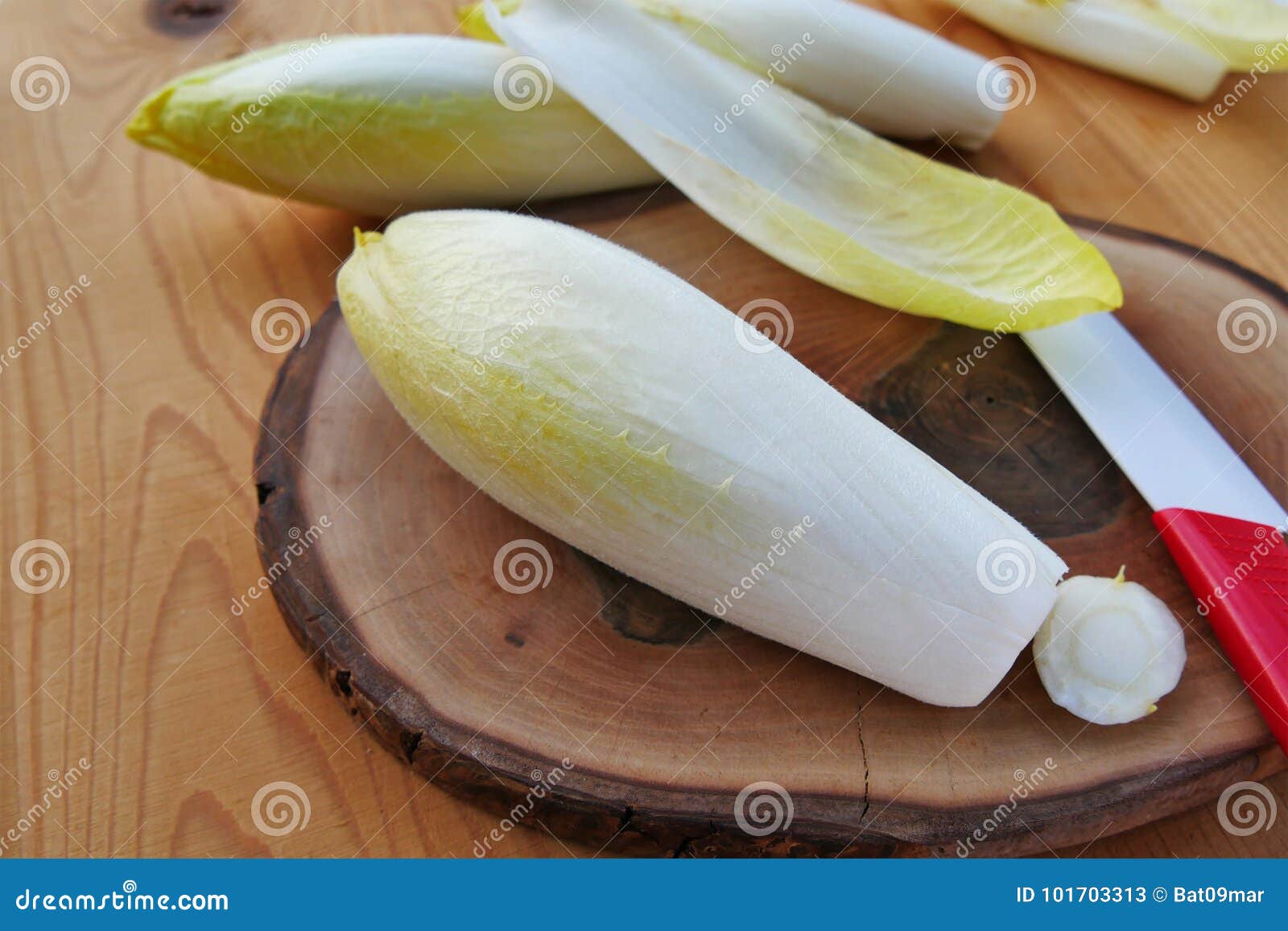 Endibia Belga, Verdura Cruda De La Achicoria O Endivia Imagen de ...