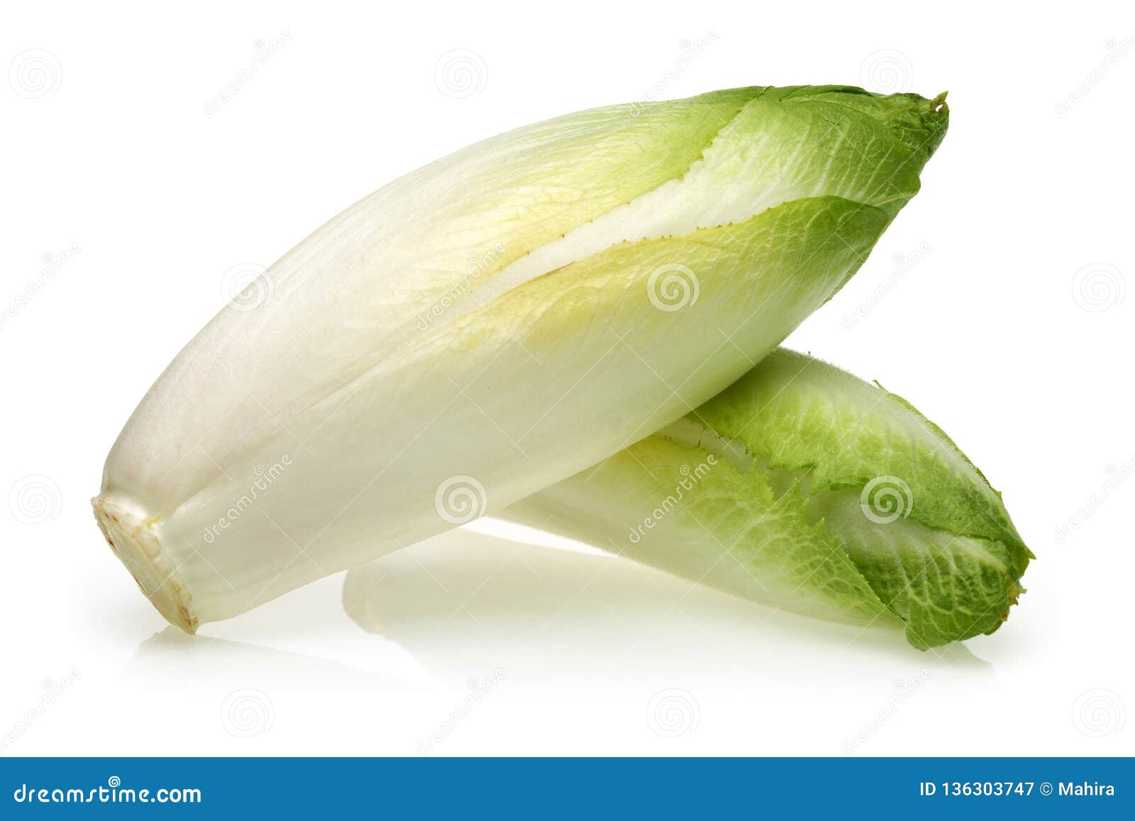 Endibia Fresca En El Fondo Blanco Imagen de archivo - Imagen de ...