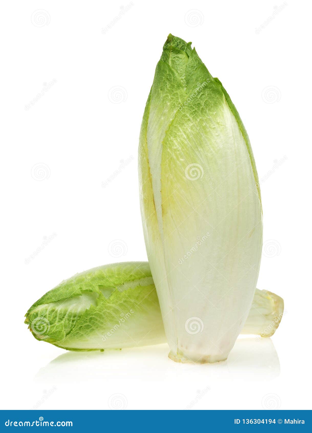 Endibia Fresca En El Fondo Blanco Foto de archivo - Imagen de frescura ...