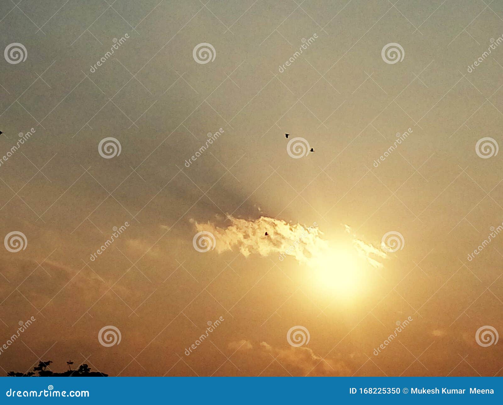 Ending of the Day ,sunset Time Stock Photo - Image of color, tree ...