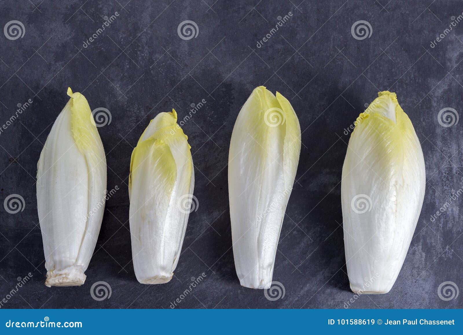 Endive Cichorium Endivia with Beautiful Soft Green Leaves,aligned on ...