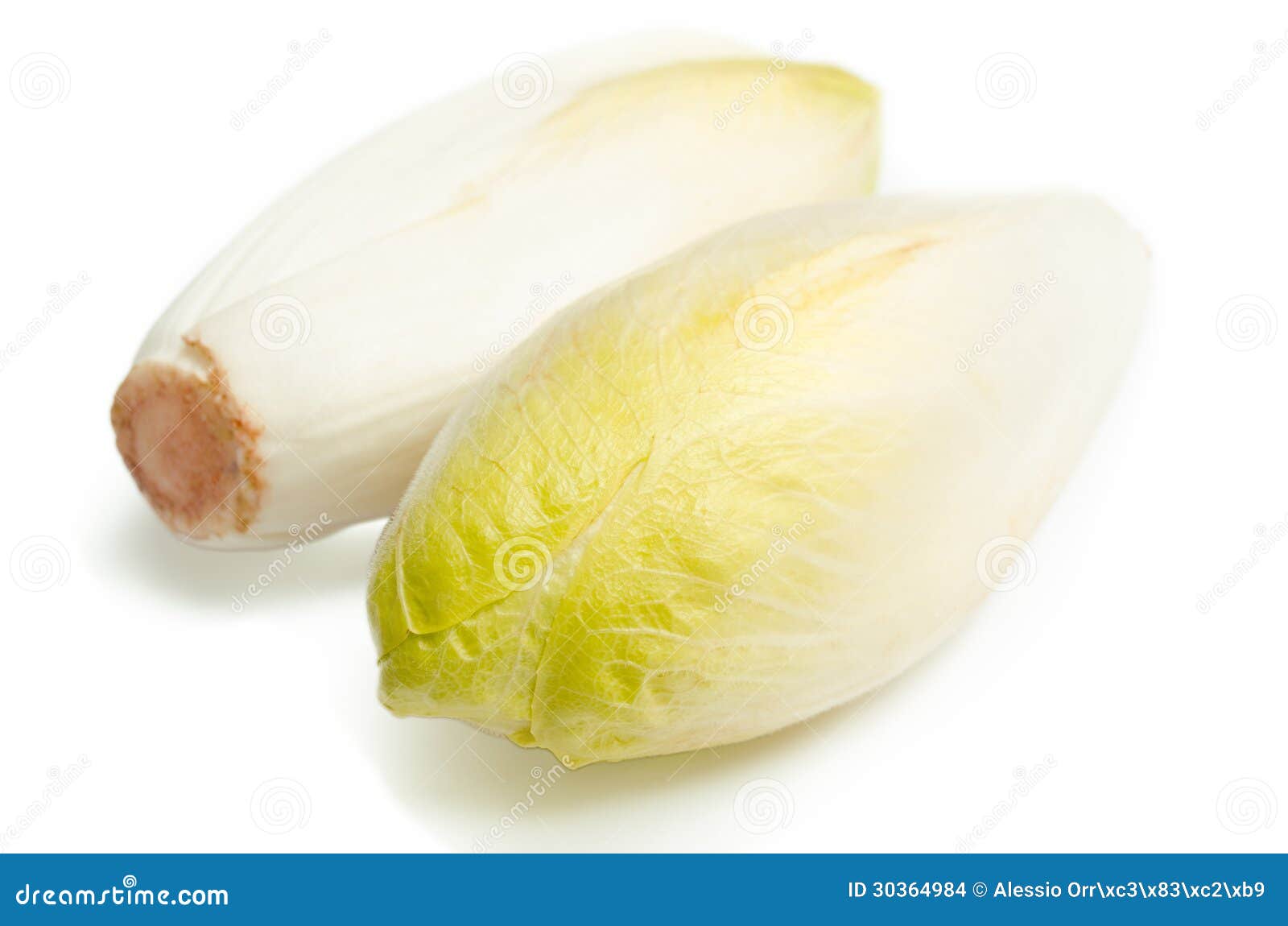 Endive stock photo. Image of vegetables, food, background - 30364984