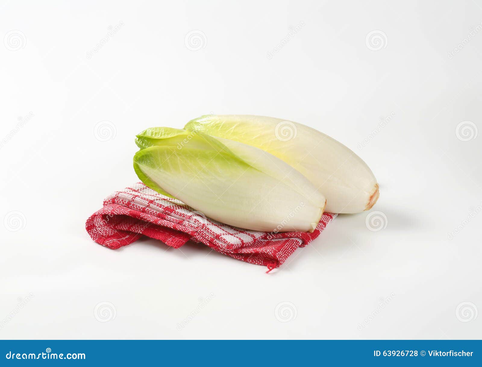 Endive stock photo. Image of organic, salad, background - 63926728