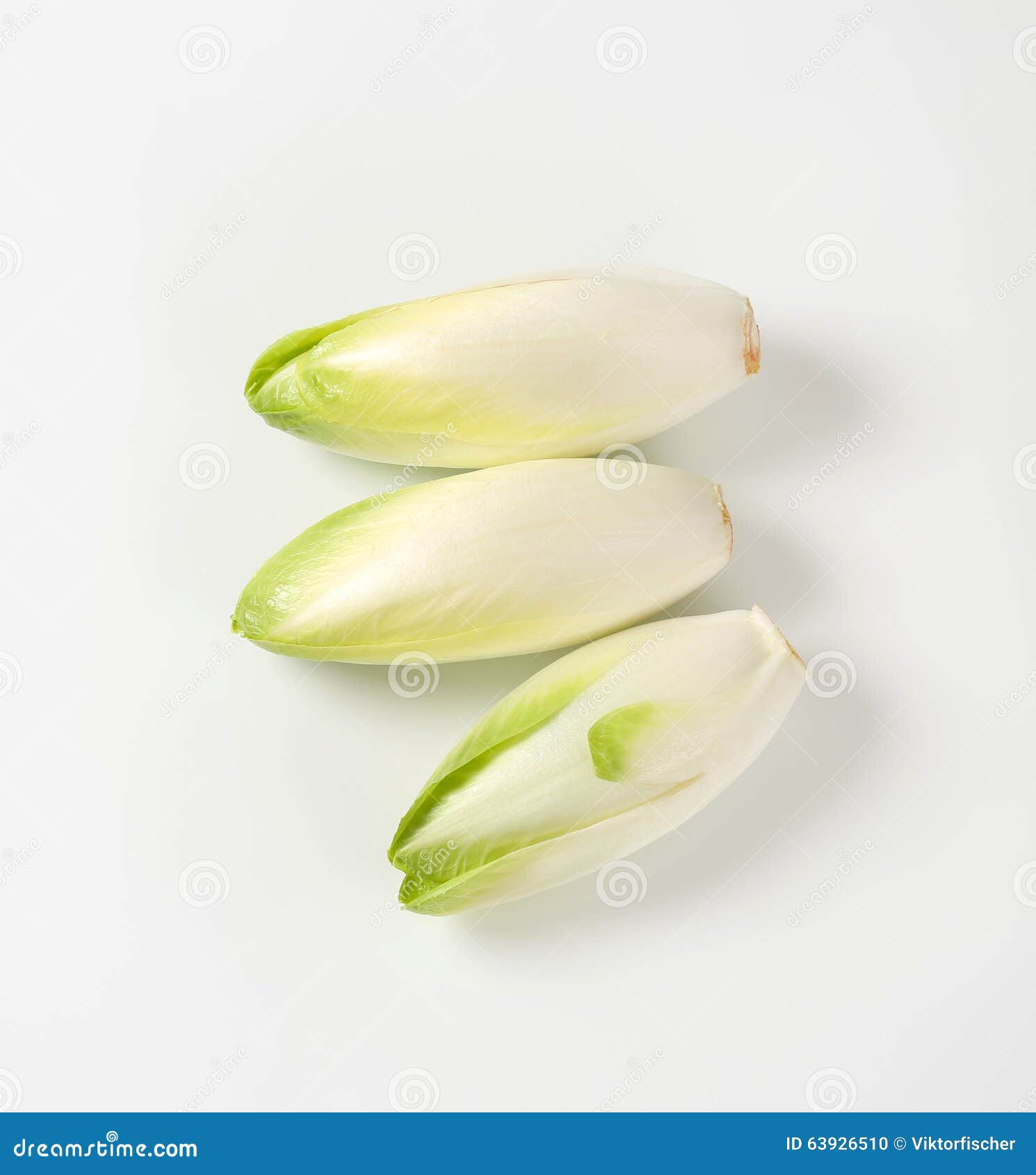 Endive stock photo. Image of food, belgian, bitterish - 63926510